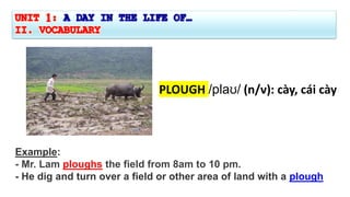 Unit 1 a day in the life ofreading | PPT