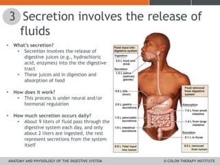 Unit 1 a&p digestive system cti | PPT