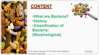 Bacteria | PPT