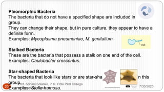 Bacteria | PPT