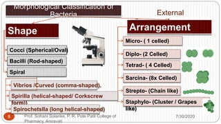 Bacteria | PPTX