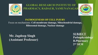Pathogenesis of Cell Injury Focus on mechanisms: Cell membrane damage ...