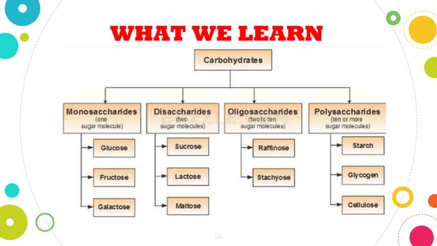 UNIT 1 BIOCHEMISTRY.pptx
