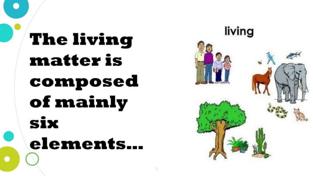 UNIT 1 BIOCHEMISTRY.pptx