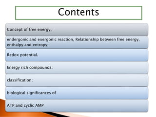 Bioenergetics | PDF