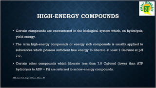 Unit 1 Bioenergetics.pdf biochemistry b pharm 1st. yr | PDF