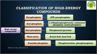 Unit 1 Bioenergetics.pdf biochemistry b pharm 1st. yr | PDF