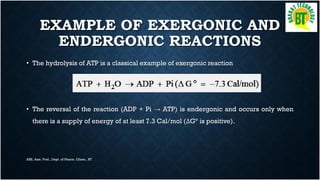 Unit 1 Bioenergetics.pdf biochemistry b pharm 1st. yr | PDF
