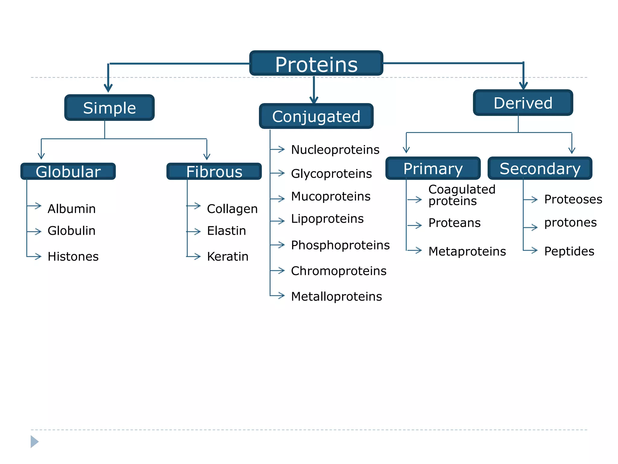 Unit 1 biomolecules | PDF