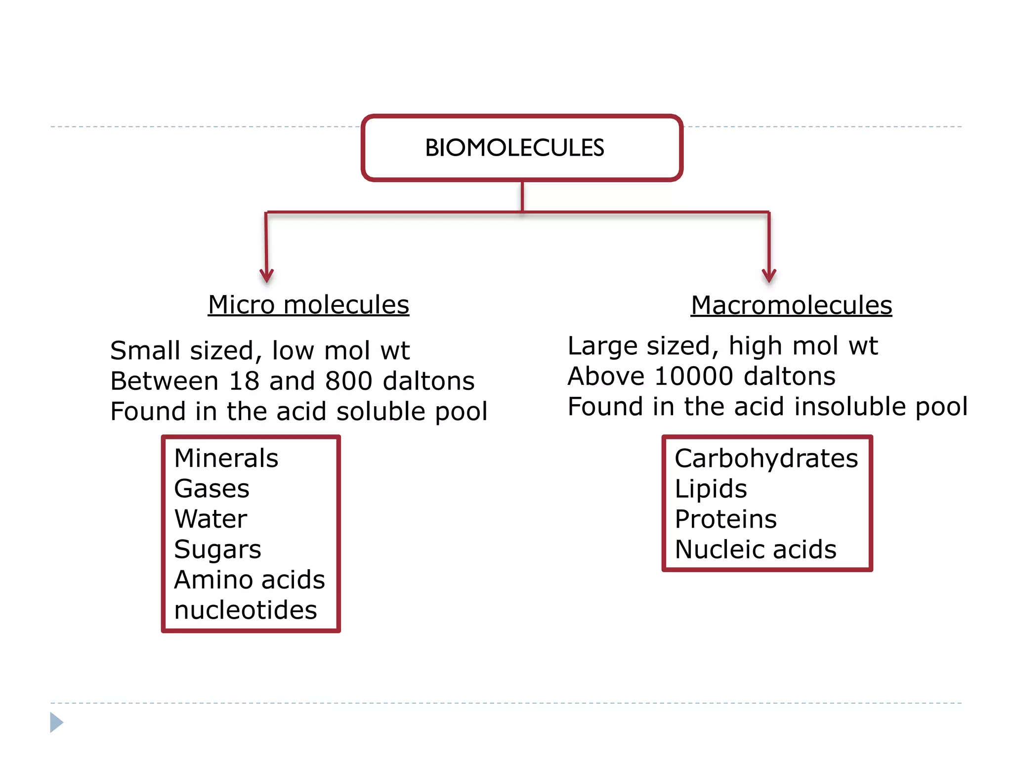 Unit 1 biomolecules | PDF