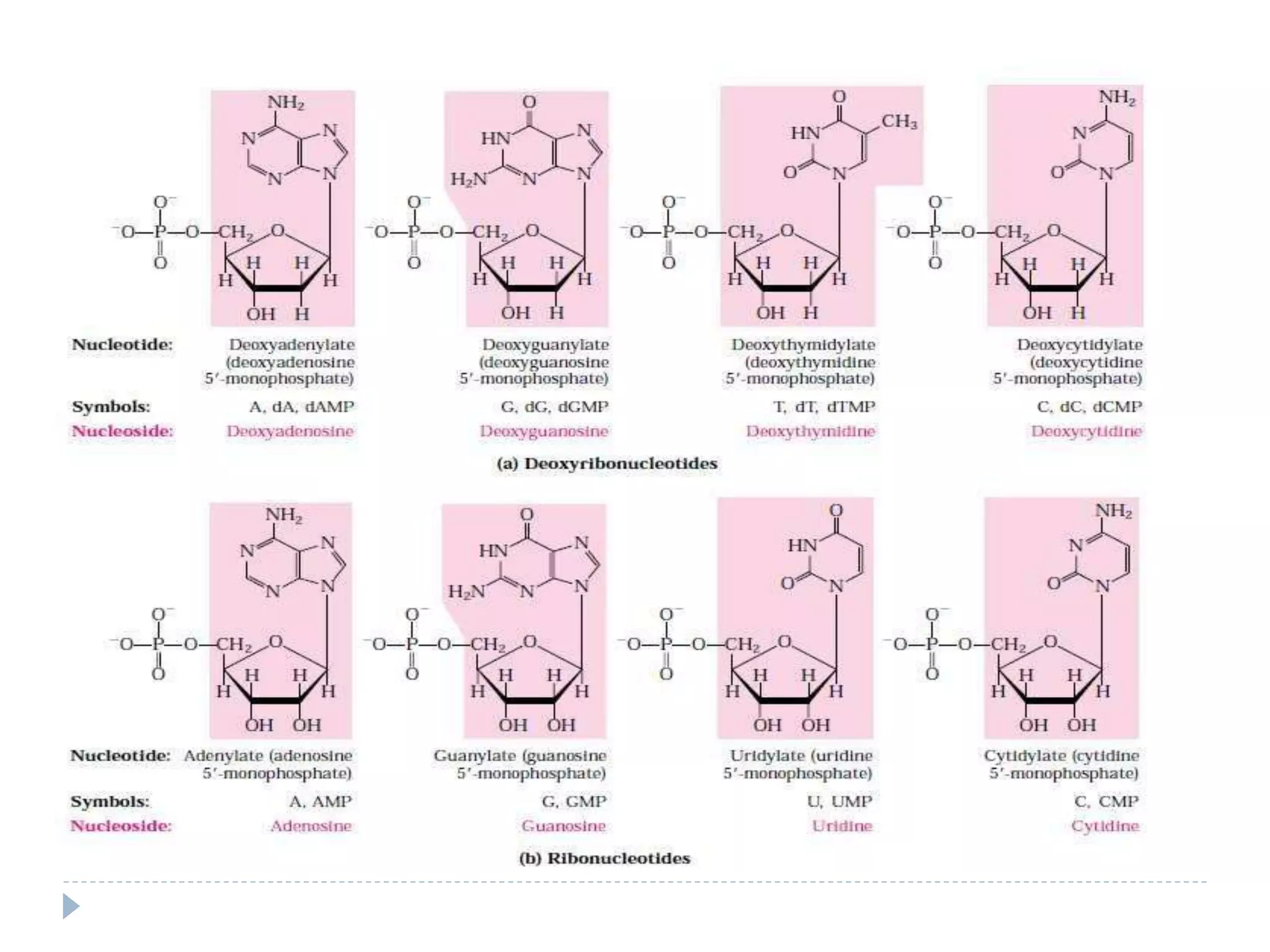 Unit 1 biomolecules | PDF