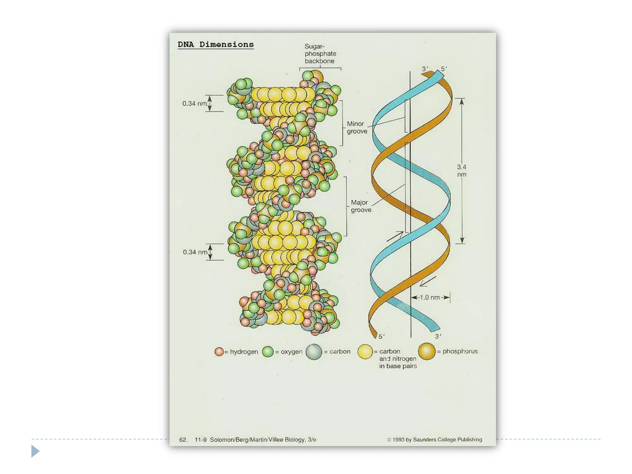 Unit 1 biomolecules | PDF