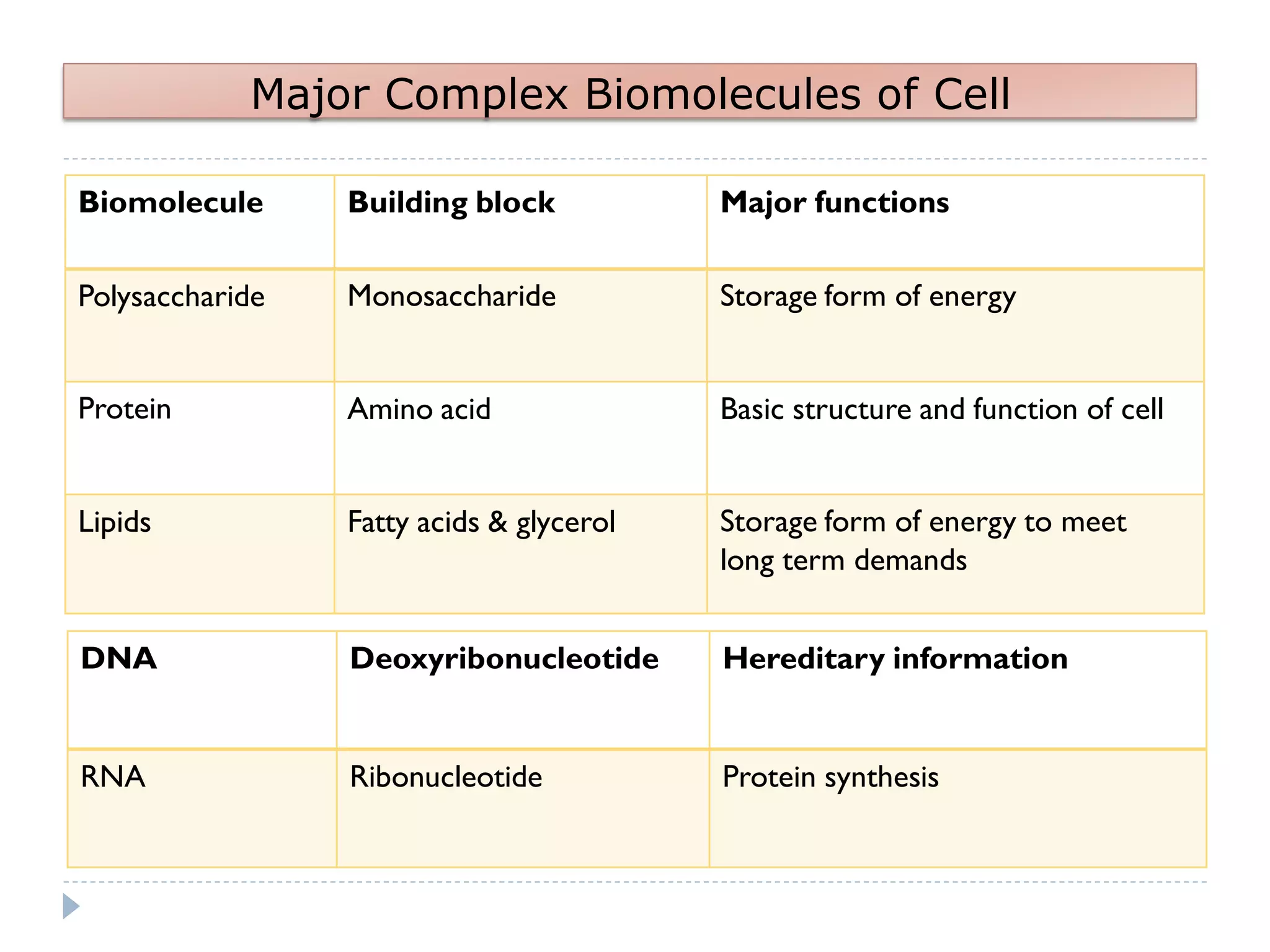Unit 1 biomolecules | PDF