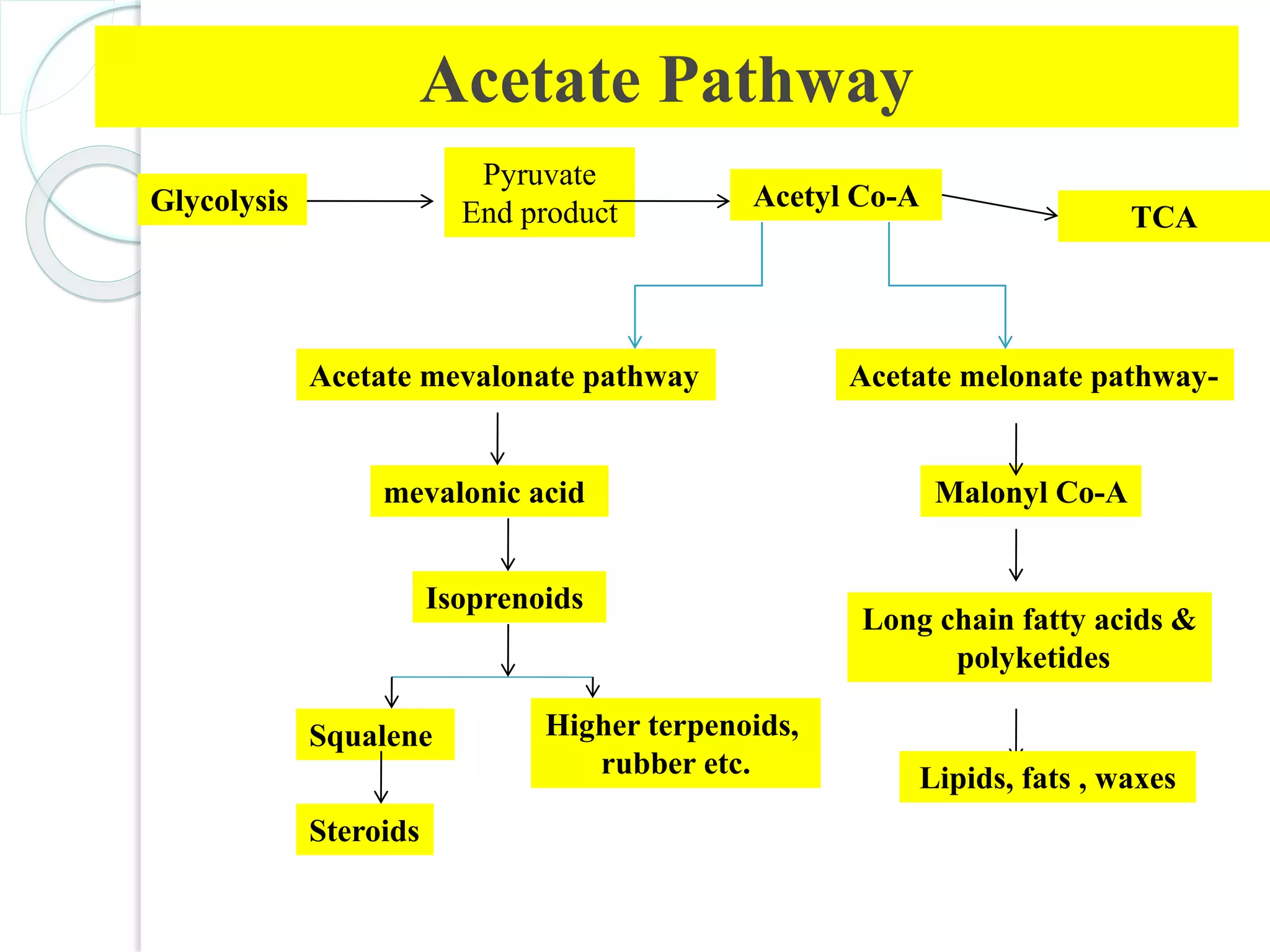 Unit 1 Biosynthetic Pathways Pharmacognosy and Phytochemistry II.pdf