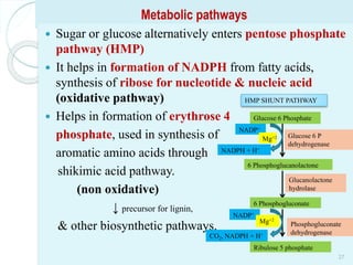 Unit 1 Biosynthetic Pathways Pharmacognosy and Phytochemistry II.pdf