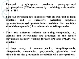 Unit 1 Biosynthetic Pathways Pharmacognosy and Phytochemistry II.pdf