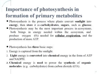 Unit 1 Biosynthetic Pathways Pharmacognosy and Phytochemistry II.pdf