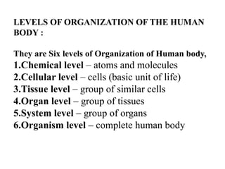 UNIT – 1 BM25C01 anatomy and human physiology notes | PPTX