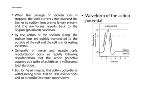 BIOMEDICAL INSTRUMENTATION UNIT I BIOPOTENTIAL ELECTRODES | PPTX
