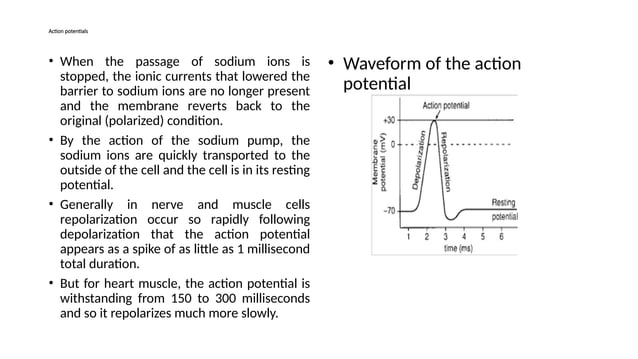 BIOMEDICAL INSTRUMENTATION UNIT I BIOPOTENTIAL ELECTRODES | PPTX