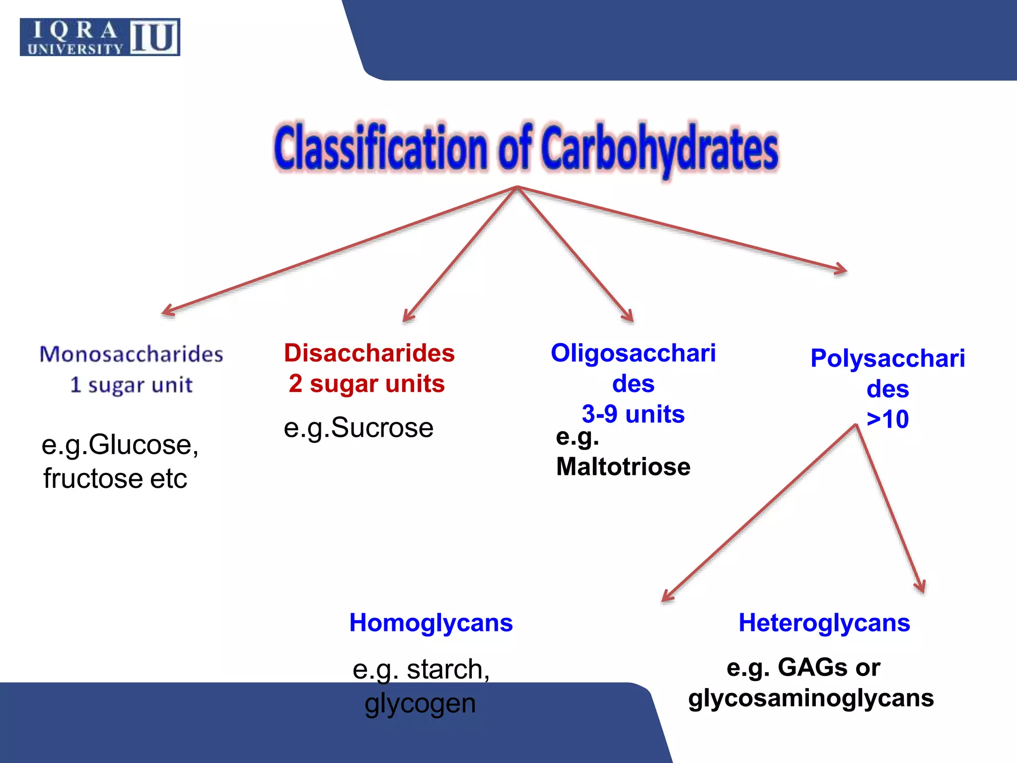 UNIT 1 Carbohydrate chemistry.pptx | Desserts and Baking | Food & Drink