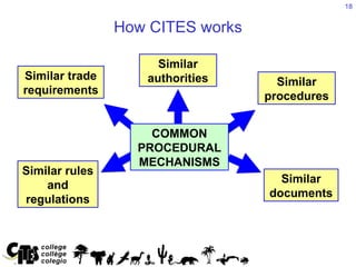 Complete presentation on the_CITES (1).ppt