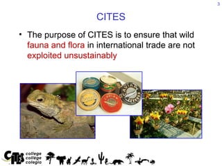 Complete presentation on the_CITES (1).ppt