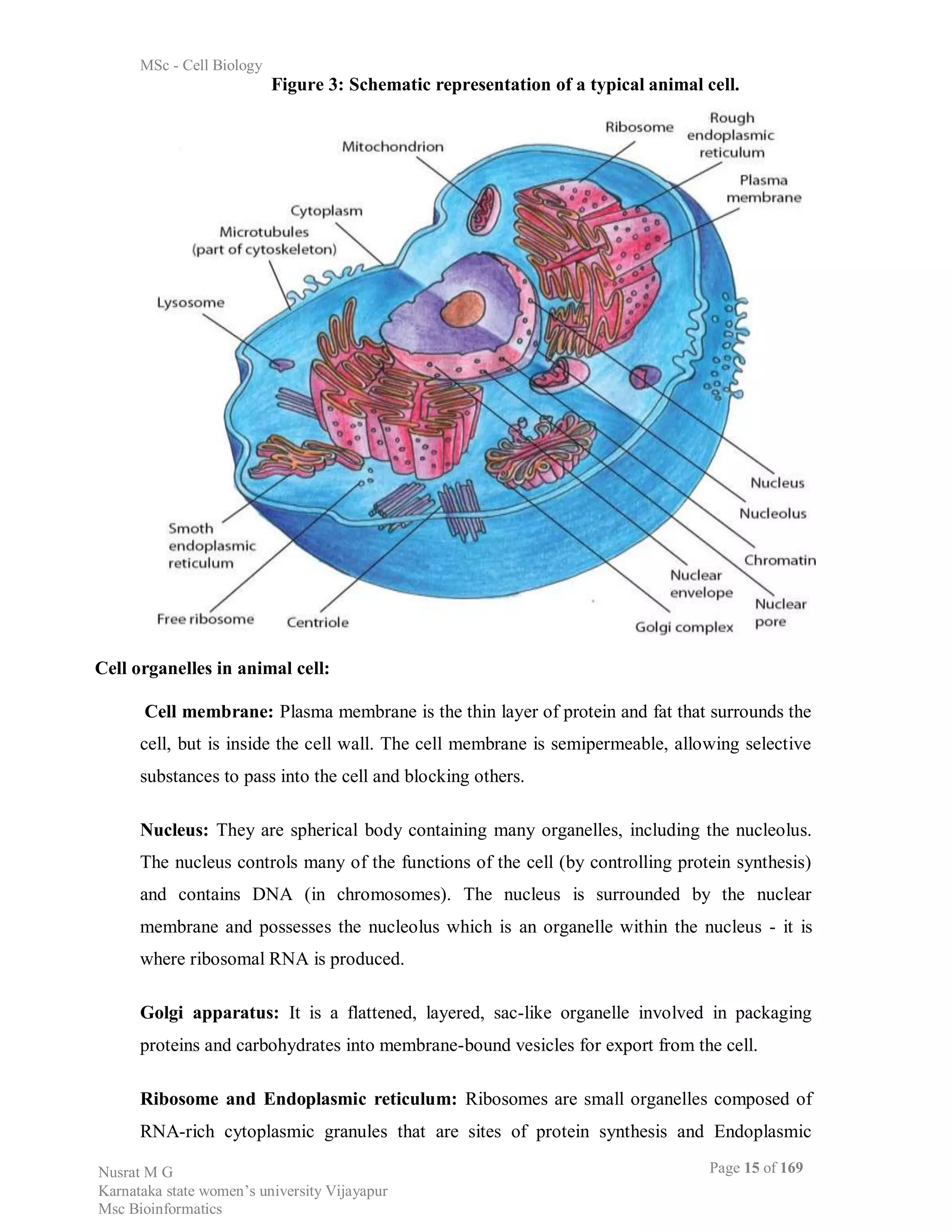 Unit 1 cell biology | PDF | Biological Sciences | Science