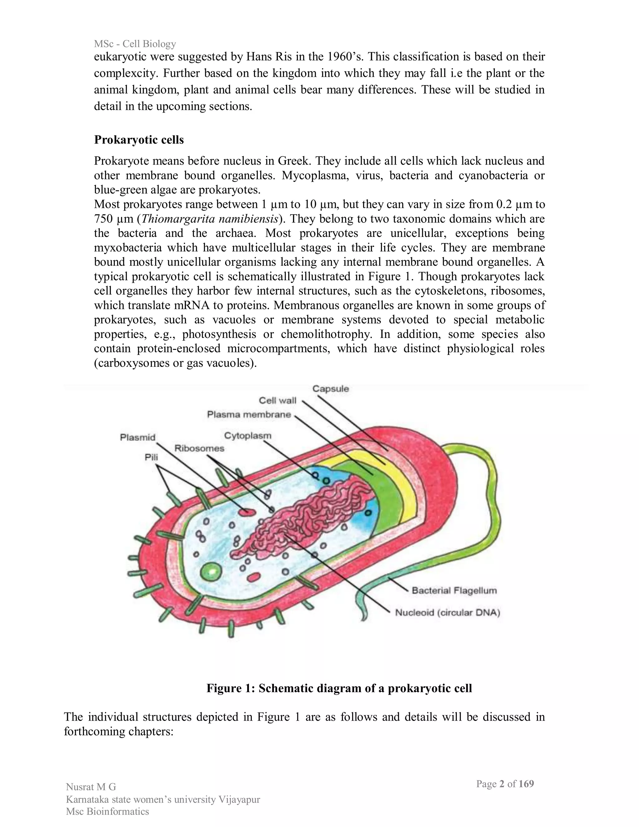 Unit 1 cell biology | PDF | Biological Sciences | Science