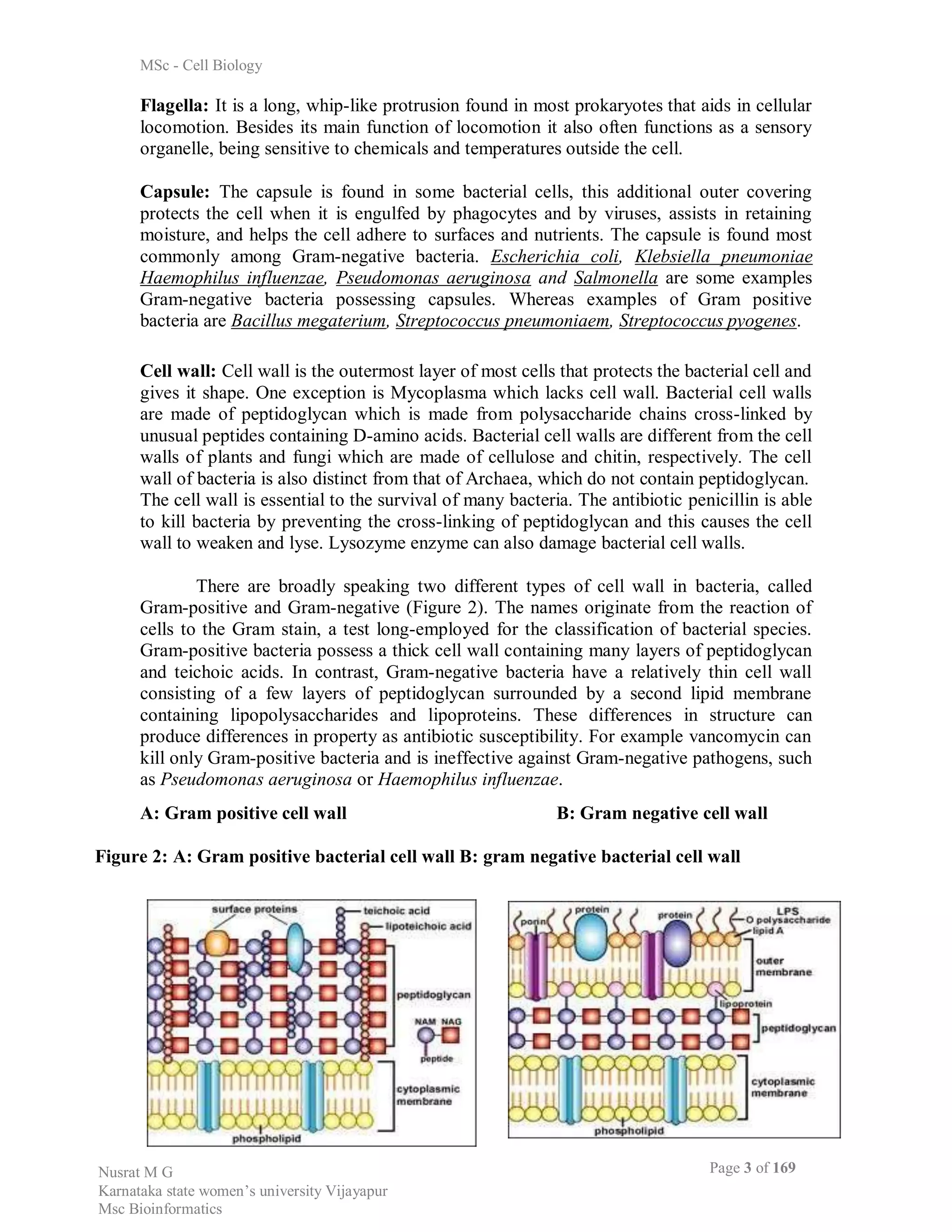 Unit 1 cell biology | PDF | Biological Sciences | Science
