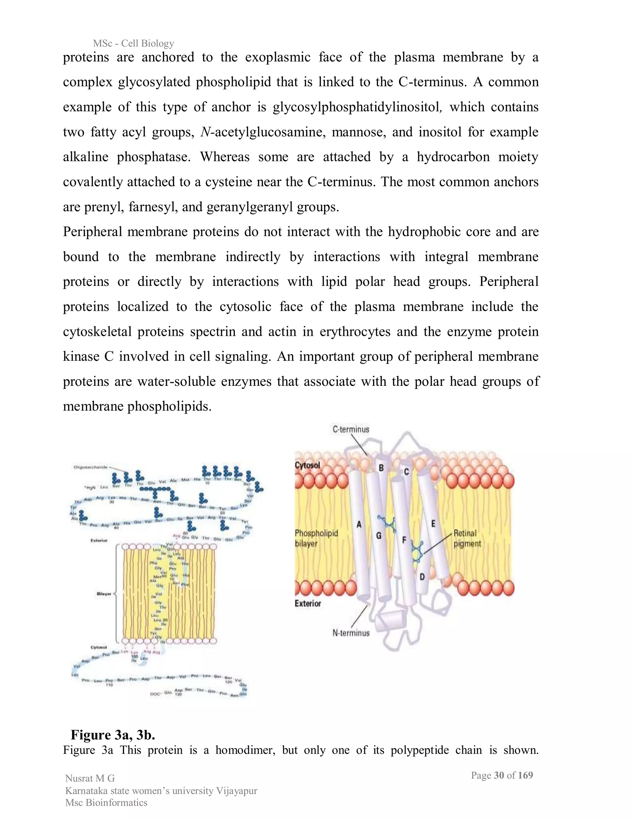 Unit 1 cell biology | PDF