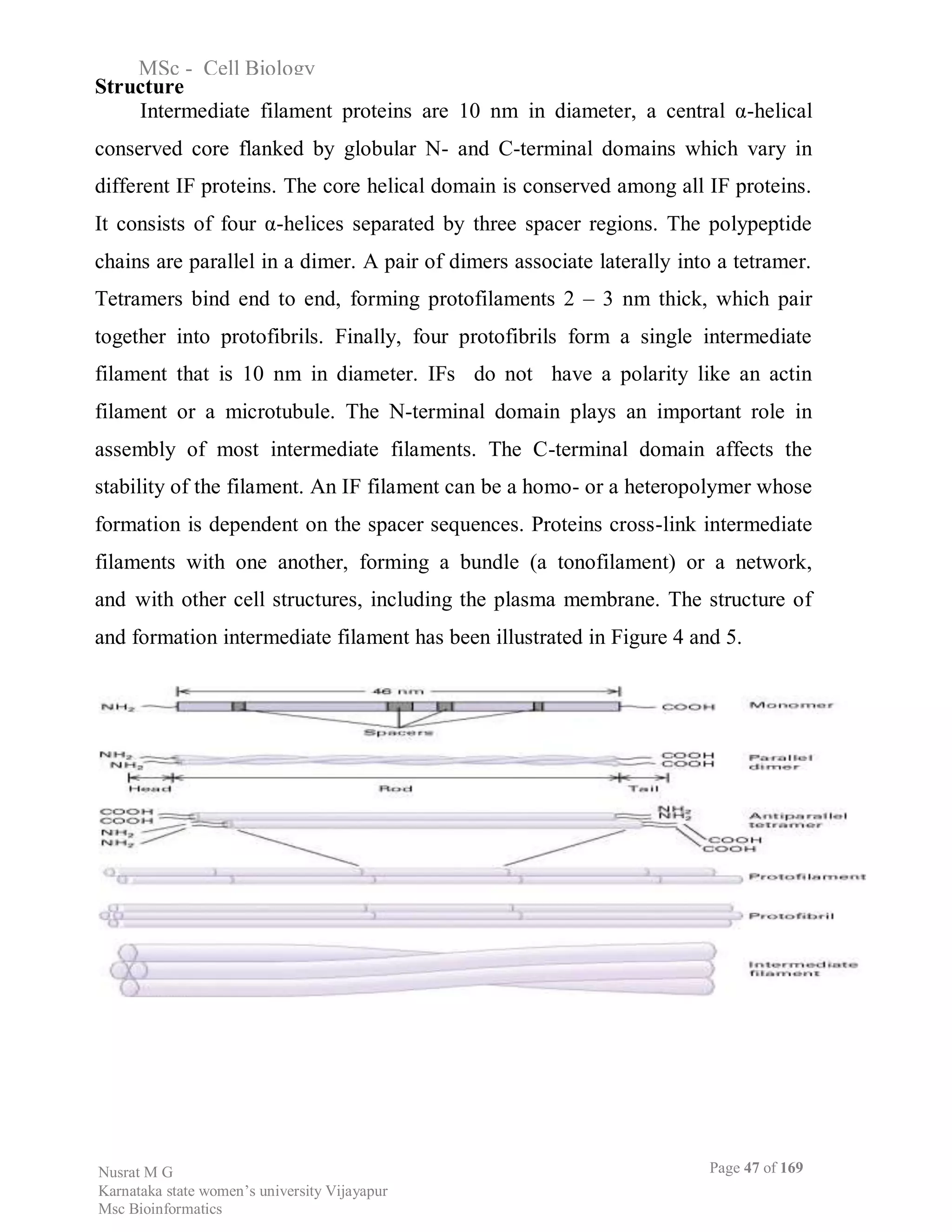 Unit 1 cell biology | PDF | Biological Sciences | Science