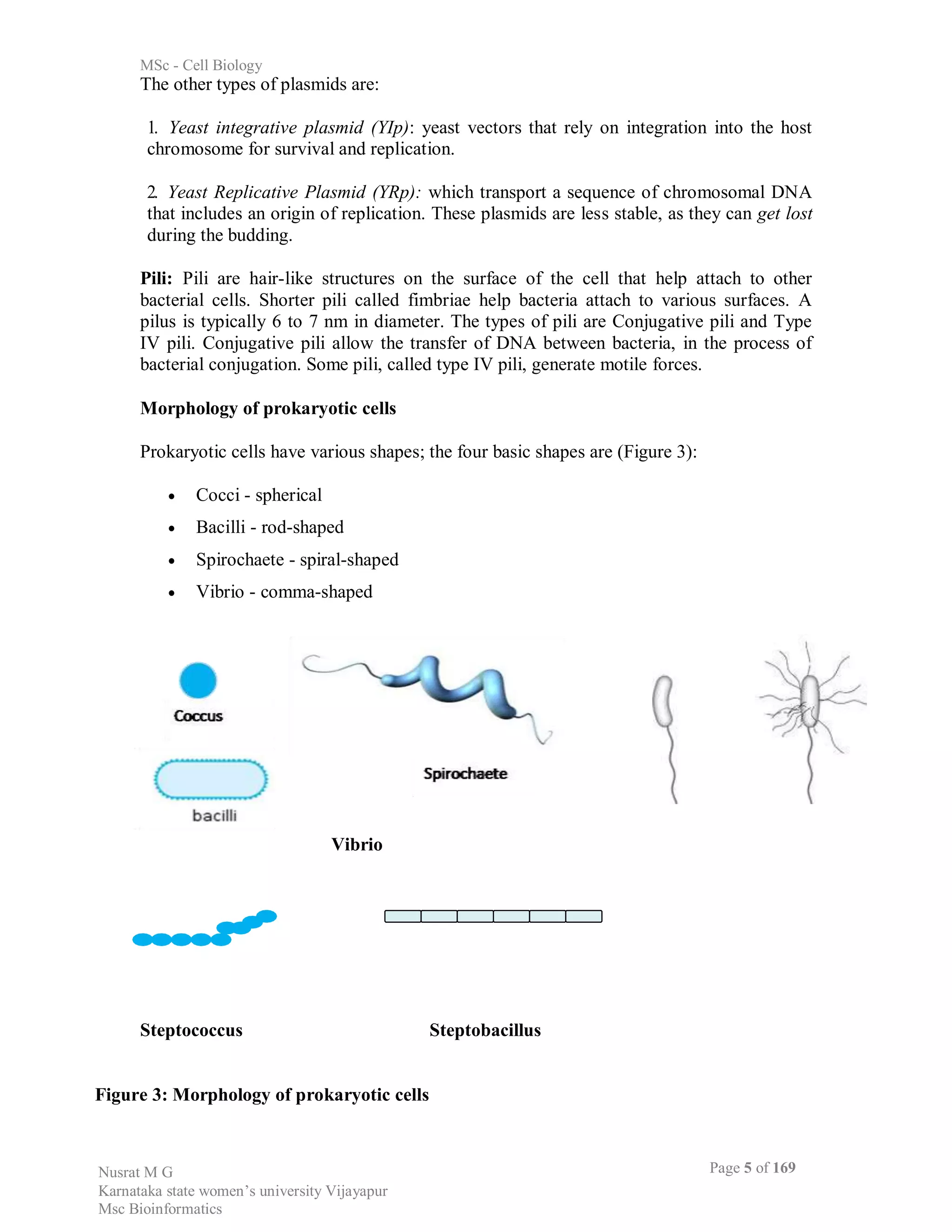 Unit 1 cell biology | PDF | Biological Sciences | Science
