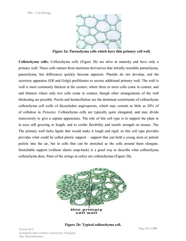 Unit 1 cell biology | PDF | Biological Sciences | Science