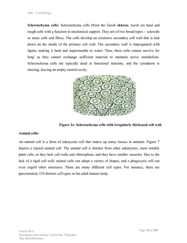 Unit 1 cell biology | PDF | Biological Sciences | Science