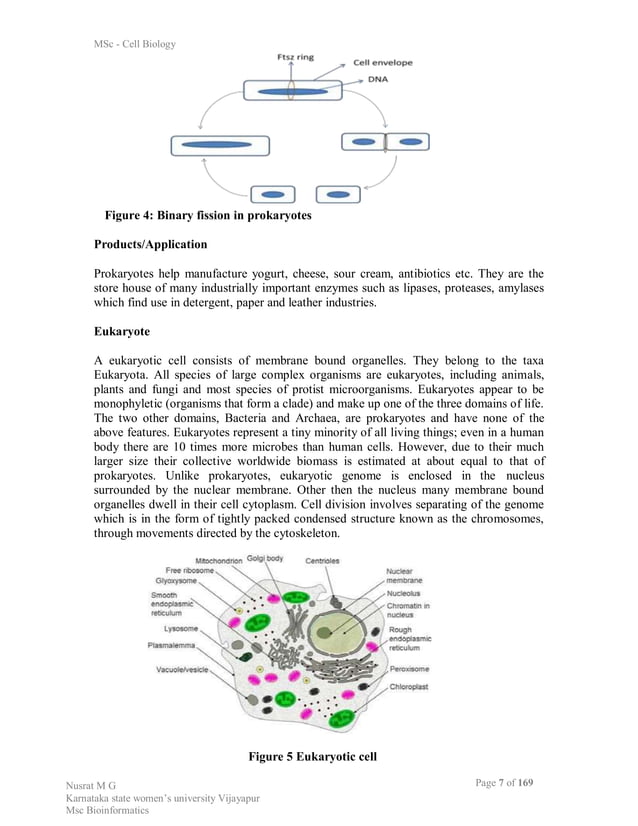 Unit 1 cell biology | PDF | Biological Sciences | Science