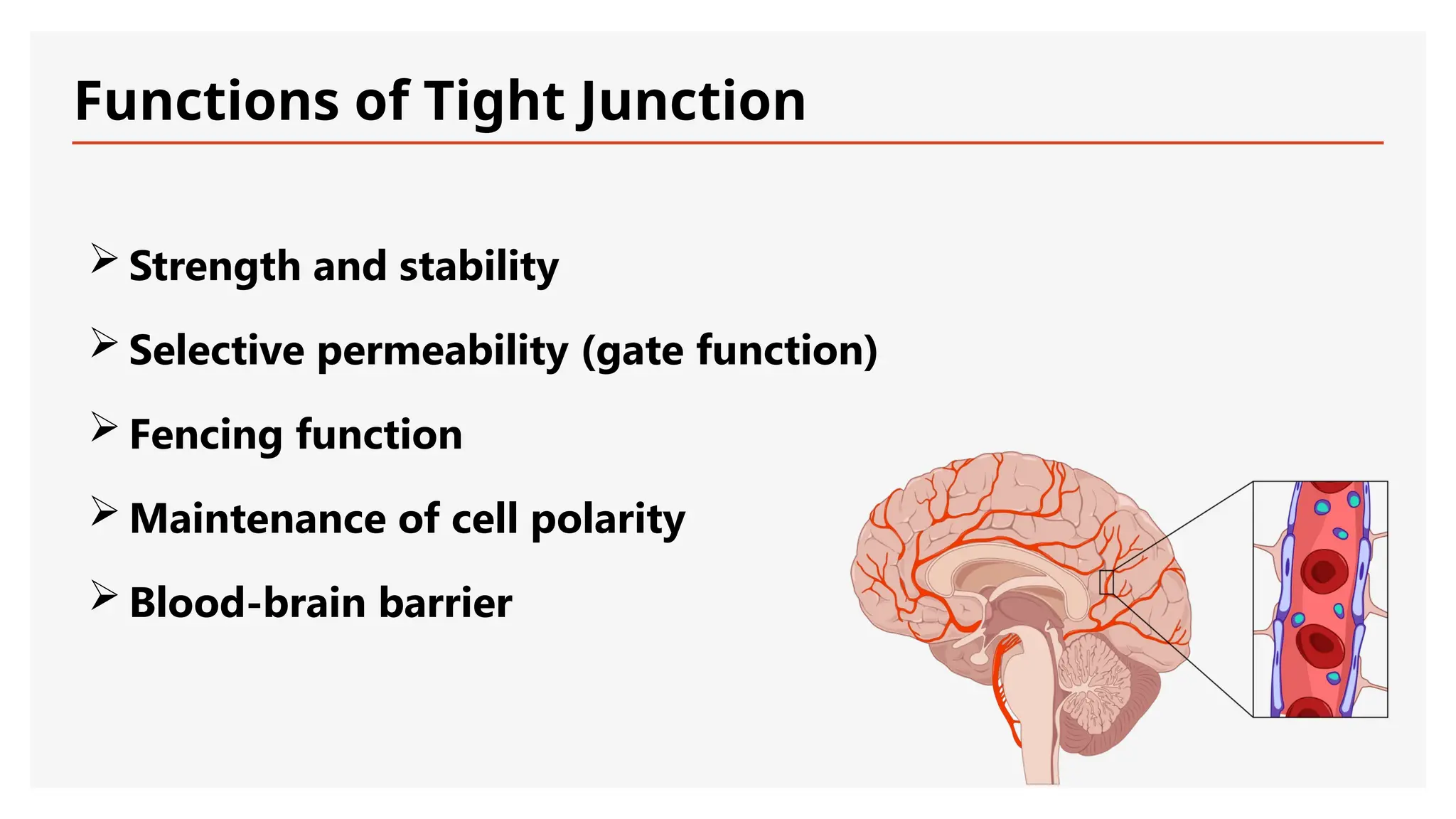 Cell junctions and cellular communications .pptx