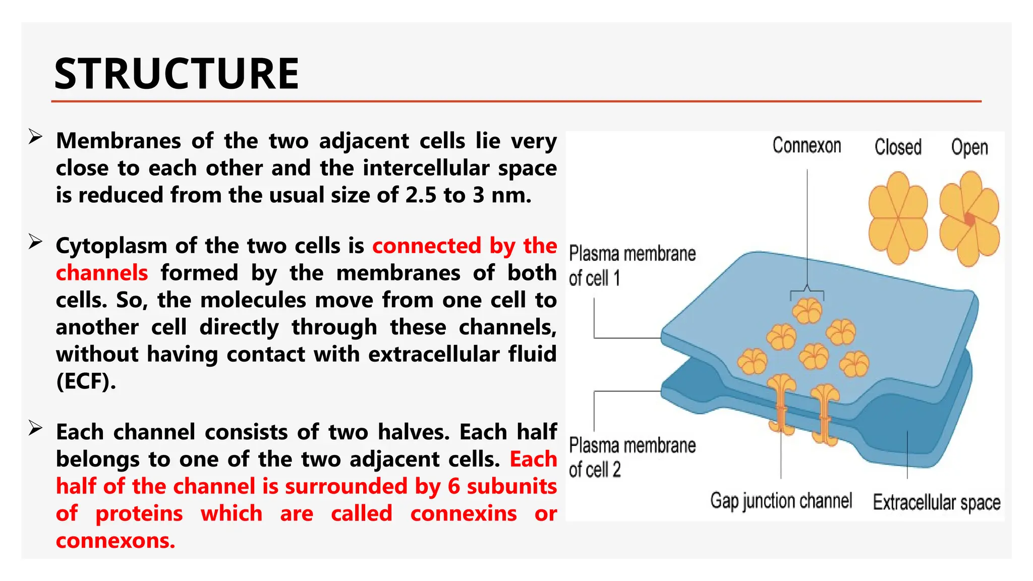 Cell junctions and cellular communications .pptx