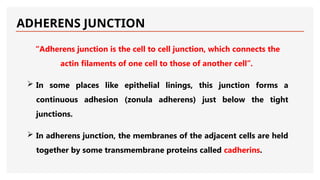Cell junctions and cellular communications .pptx