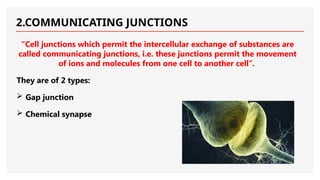 Cell junctions and cellular communications .pptx