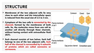 Cell junctions and cellular communications .pptx