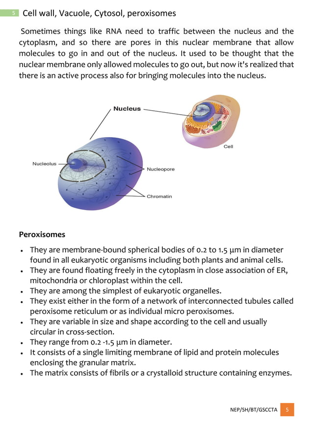 unit 1 cell wall , vacuole.pdf | Biological Sciences | Science