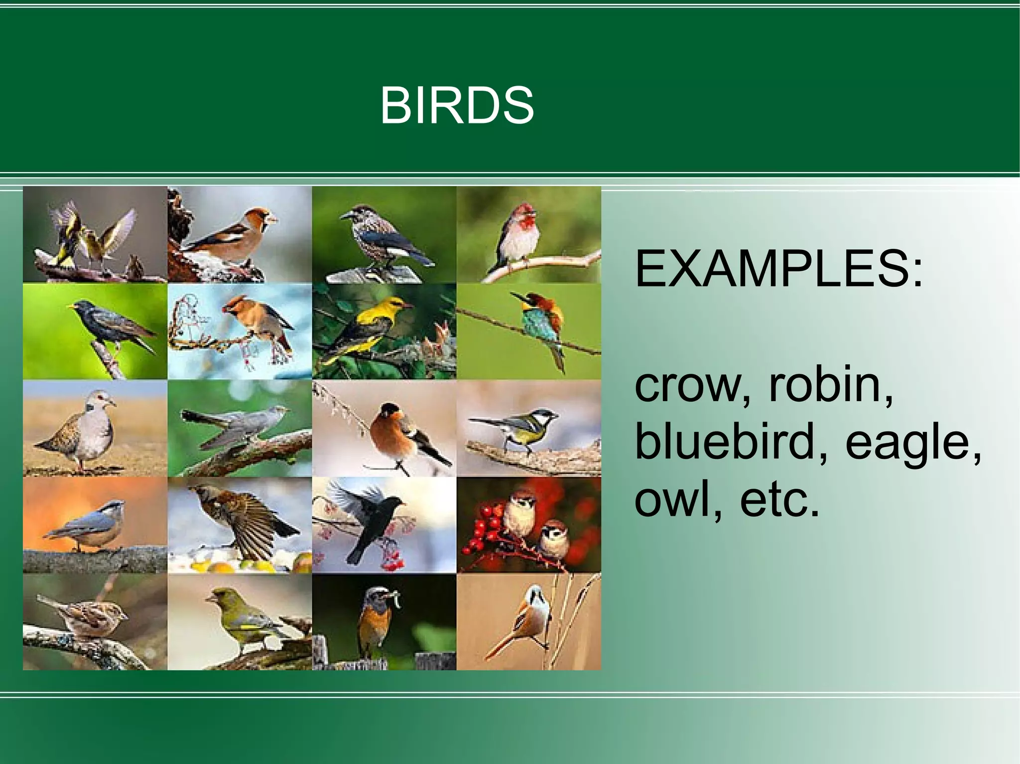 Unit 1 ch. 2 science | PPT