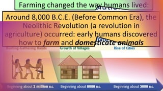 Unit 1 Chapter 1 Section 2 The Neolithic Revolution and the Rise of ...
