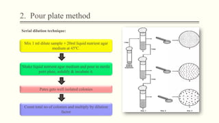 Isolation and Preservation Pure Culture Method | PDF