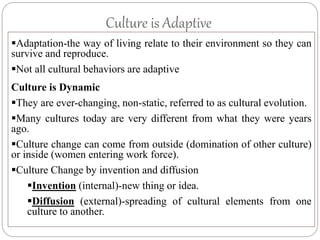 Unit 1 culture health for post RN semester 2 by sn | PPTX