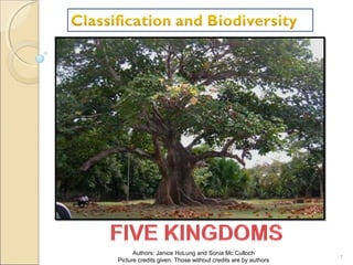 Unit 1 classification biodiversity presentation | PPT | Gardening ...