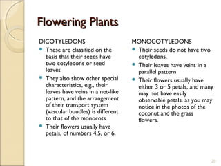 Unit 1 classification biodiversity presentation | PPT