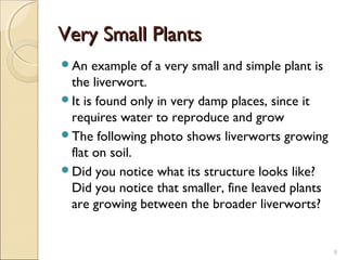 Unit 1 classification biodiversity presentation | PPT | Gardening ...