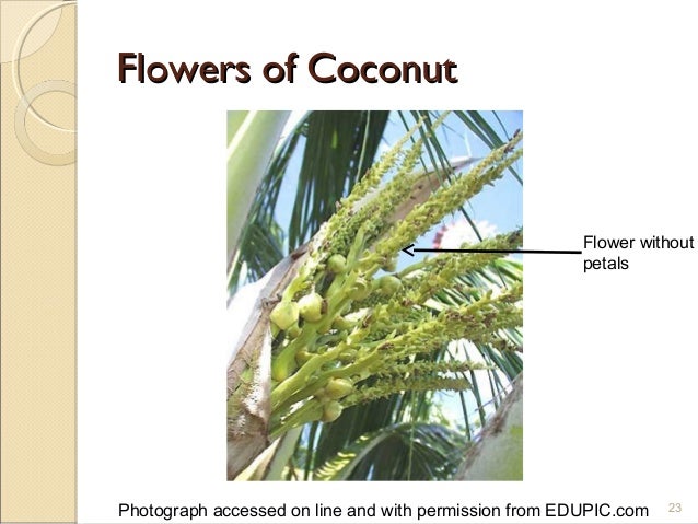 Biology M1 Classification Biodiversity